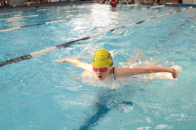 Teaching Young Children Butterfly - Important Tips and Hints